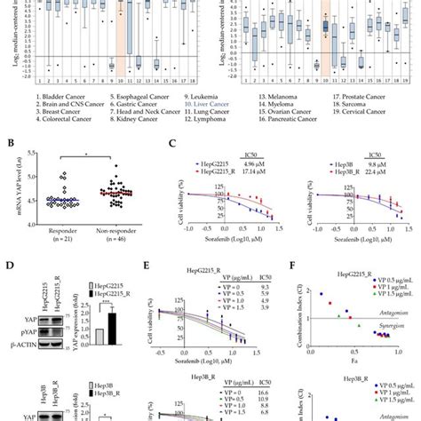 High Expression Of Yes Associated Protein Yap Correlates With