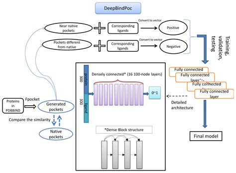 DeepBindPoc A Deep Learning Method To Rank Ligand Binding Pockets Using Molecular Vector