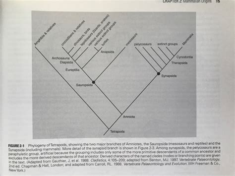Solved In This Figure Caption There Are Four Errors Or Chegg