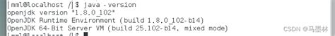 vm 虚拟机卸载自带的jdk 如何删除vmware中虚拟机原有的jdk csdn博客