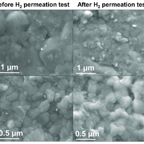 Sem Surface Micrographs 50000 Magnification Of The Pdta Membrane