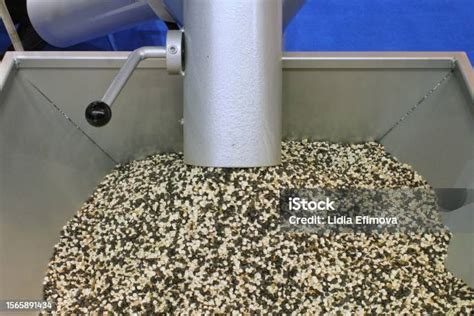 플라스틱 폐 폴리머 과립의 클로즈업 공장에서 생분해성 플라스틱 펠릿 산업 재활용 생산을 위한 회색 분쇄 화학 과립 식물에 Pvc 과립 오염 감소 0명에 대한 스톡 사진 및