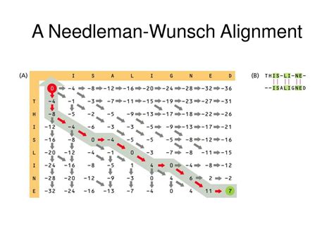 Ppt Sequence Alignment Powerpoint Presentation Free Download Id3873044