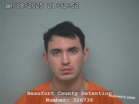 Gabriel Alexander Chan Beaufort County Mugshots Zone