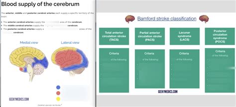 Subrayar Relé Espejo De Puerta Oxford Stroke Classification Dependiente Lana Panorama