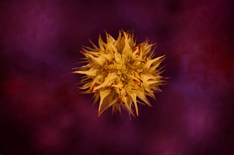 치유 케어 미생물학 바이러스 독감 순유 배경에 미생물의 3d 렌더링 0명에 대한 스톡 사진 및 기타 이미지 0명 3차원