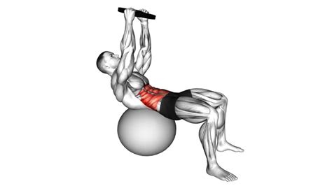 Dumbbell Biceps Curl Overhead Extension On Stability Ball Video Guide Tips
