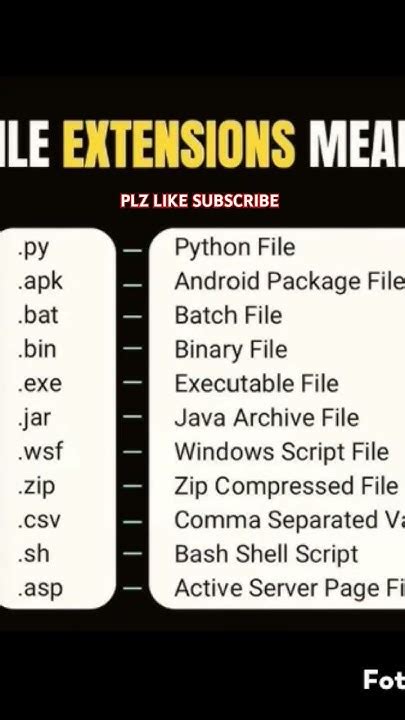 File Extensions Python Developer Extensions Exe Cpu