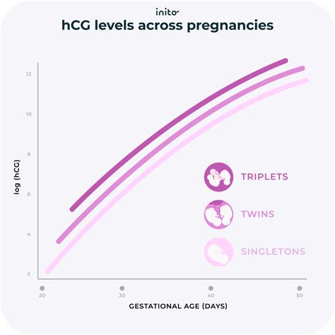 Hcg Levels Twins Key Indicators For Twin Pregnancy