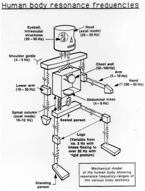 Resonant Frequencies Of The Body