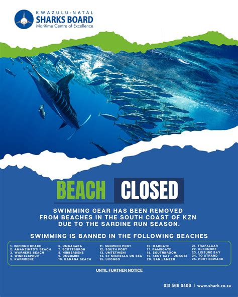 Kzn Sardine Run Is Here But So Are The Sharks So Safety First Kzners