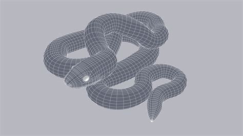 Rigged Calabar Python 3d Model By Dibia Digital