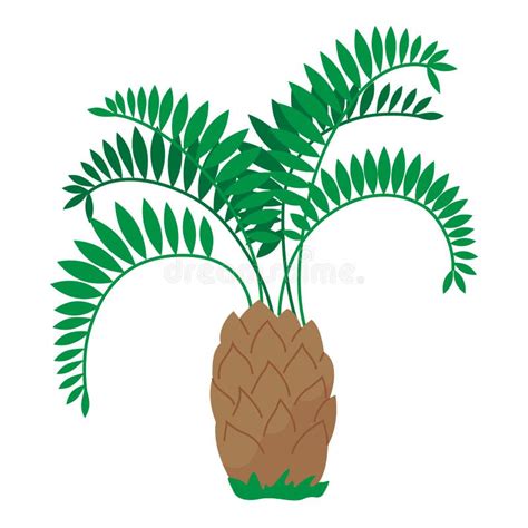 Tropical Date Palm Tree Flat Vector Illustration Clipart Isolated On White Background Stock