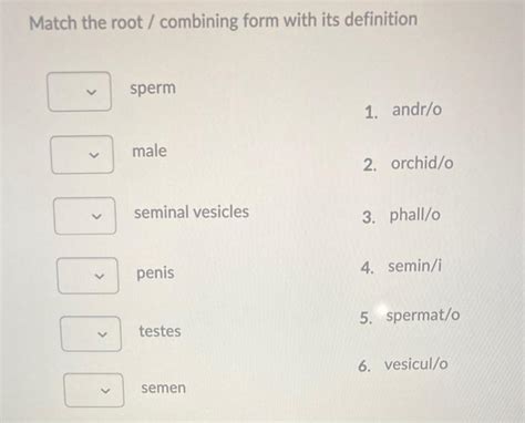 Solved Match The Root Combining Form With Its Definition Chegg Com