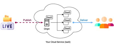 how to create a live streaming platform