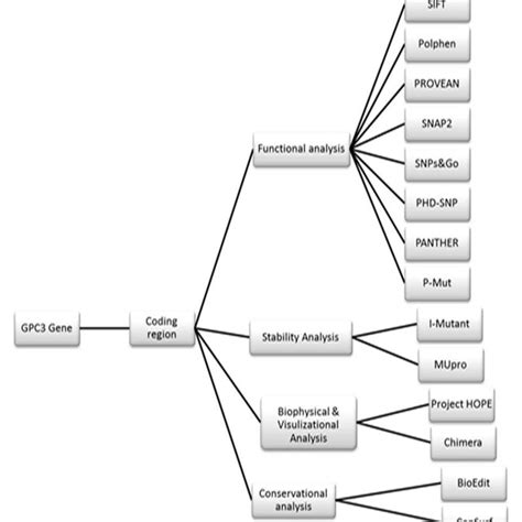 Diagrammatic Workflow Softwares Used In Snps Analysis Download Scientific Diagram