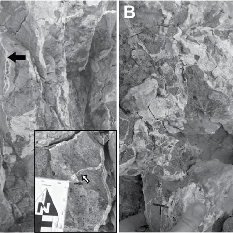 PDF Diagenetic Controls On The Evolution Of Fault Zone Architecture And Permeability Structure