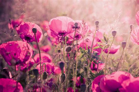 Modelz View Modelz View Added A New Photo — At Link In Bio