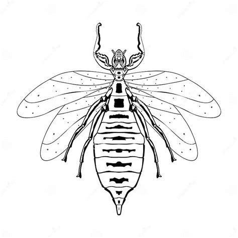 Vector Cartoon Leaf Insect Character Isolated Illustration Stock Vector Illustration Of