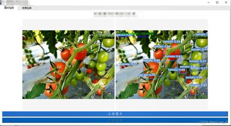 计算机科学与技术专业毕业设计最新最全选题精华汇总 持续更新中 计算机科学与技术毕业设计选题 csdn博客