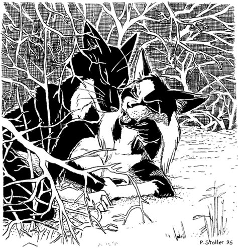 Rule 34 1996 Anthro Black And White Black Body Black Fur Branch