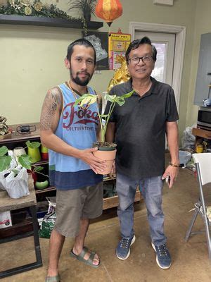 TEA GARDEN NURSERY Updated July 2025 45 Photos 15 Reviews 1211 E Arkansas Ln Arlington