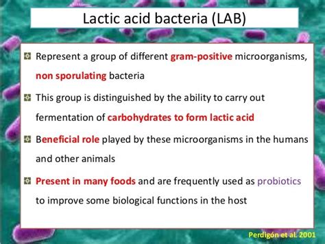 Lactic Acid Bacteria