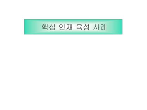 핵심인재의 육성시스템