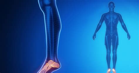 Syndesmosis Injuries Science Based Management And Treatment