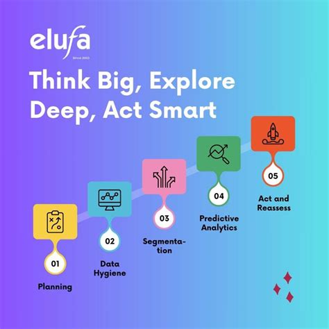 Analytics Elufa Systems