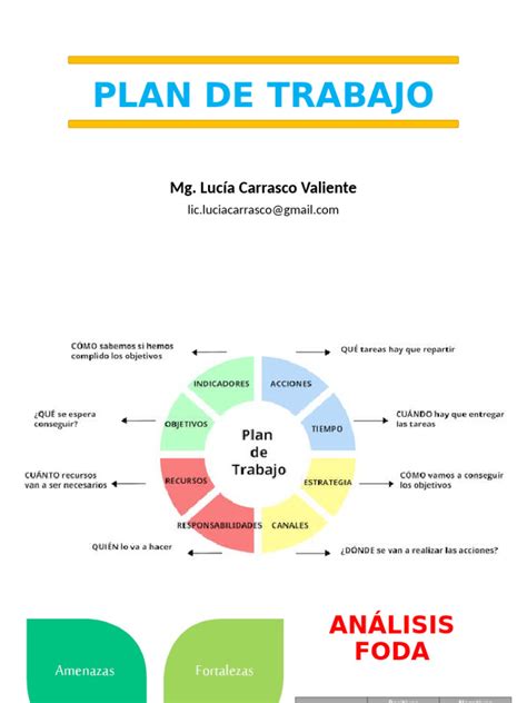 Plan De Trabajo Para Internado Psicológico Pdf