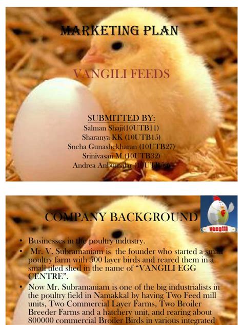 B Broilerchicken Pdf Poultry Farming Market Segmentation