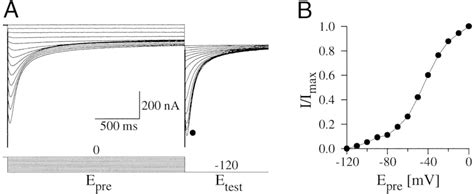 A B Steady State Inactivation Of The Inward Rectifying K Current A Download Scientific