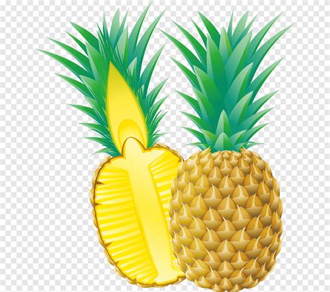 สับปะรด ภาพเคลื่อนไหวสับปะรด วัสดุสับปะรด Adobe ผู้วาดภาพประกอบ สับปะรด Png Pngegg