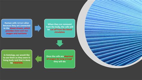 Fixatives Used In Tissue Processing Histopath Techniques Pptx