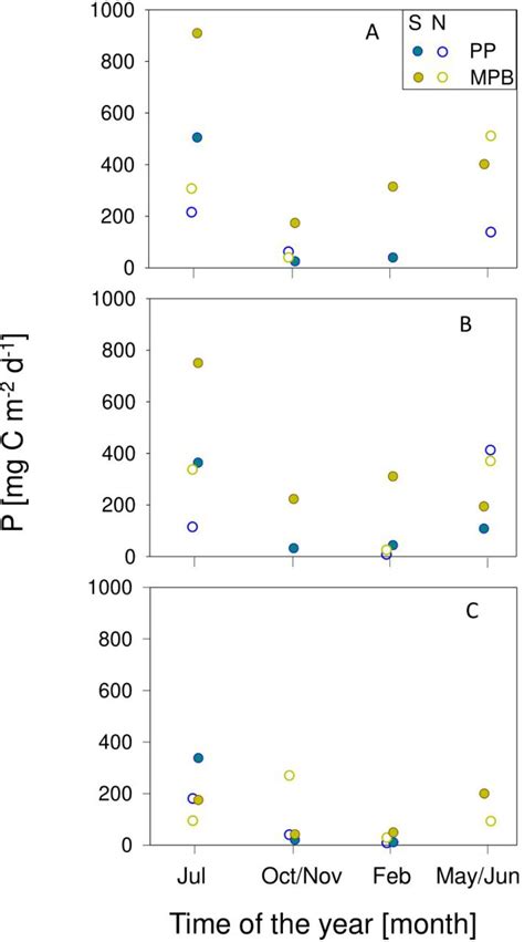 Frontiers Synoptic Spatio Temporal Variability Of The Photosynthetic Productivity Of