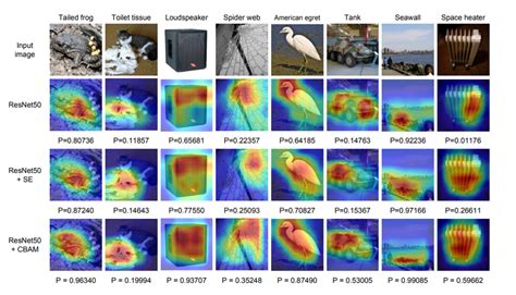 Python How To Implement Grad Cam To View Activation Mapheat Maps On Tensorflow Resnet152v2