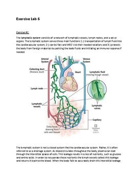 A P II Lab Exercise Lymphatic System Student Version TPT