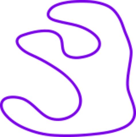 N PASS Handbook
