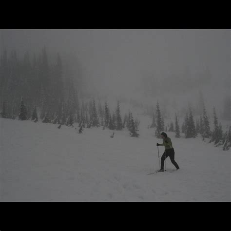 Coco Dataset Object Detection Model V8 Yolov8m 640 By Microsoft