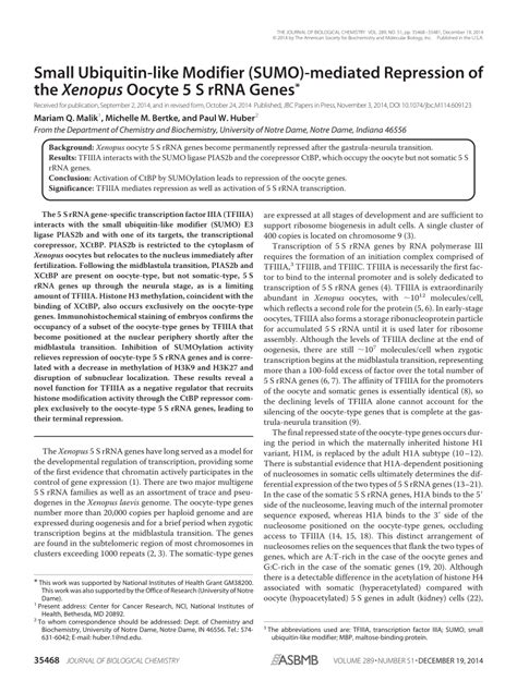 PDF Small Ubiquitin Like Modifier SUMO Mediated Repression Of The
