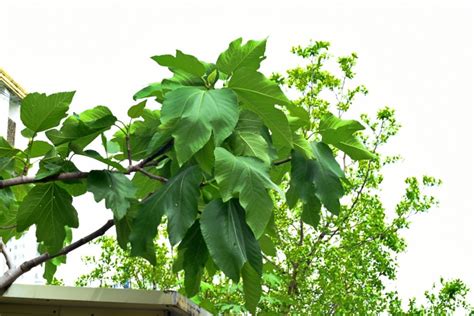 5월 넷째 주일 대표기도문