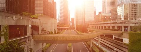 Form Script Customization Softchief Learn