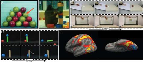 Figure 1 From Mit Open Access Articles An Integrative Computational
