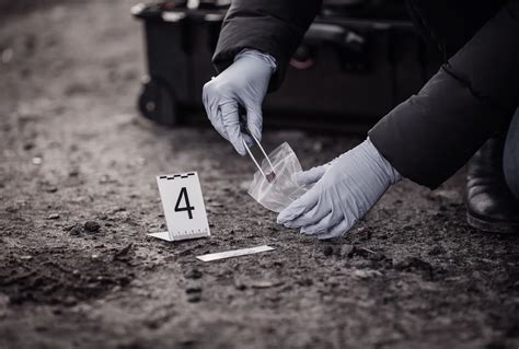 Homicidios En México Caen 25 En Enero Y 62 En Primer Cuatrimestre