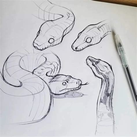 Cómo Dibujar Una Serpiente A Lápiz 61 Fotos Tutoriales Fáciles De
