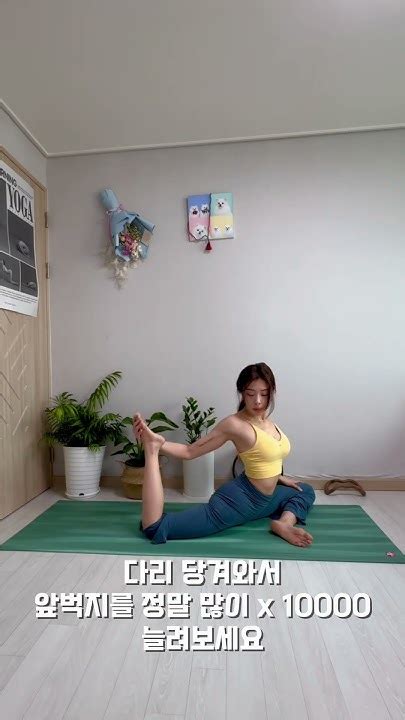 요가 비둘기 잡기 에카파다라자카포타 Youtube