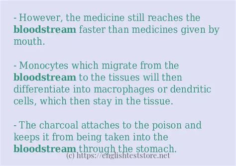 Some Example Sentences Of Bloodstream Englishteststore Blog
