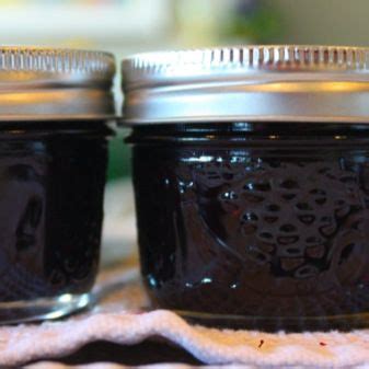 Saskatoon Berry Jam The Traditional Canadian Recipe Recipe