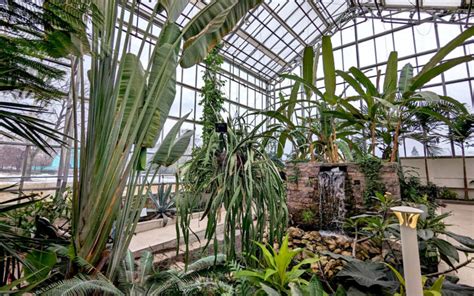328 Gage Park Tropical Greenhouse Ive Been Bit Travel Blog